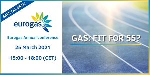 European natural gas information portal