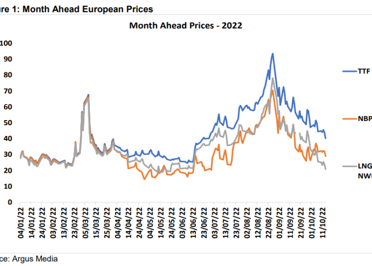 Capping the European TTF gas price | European Gas Hub