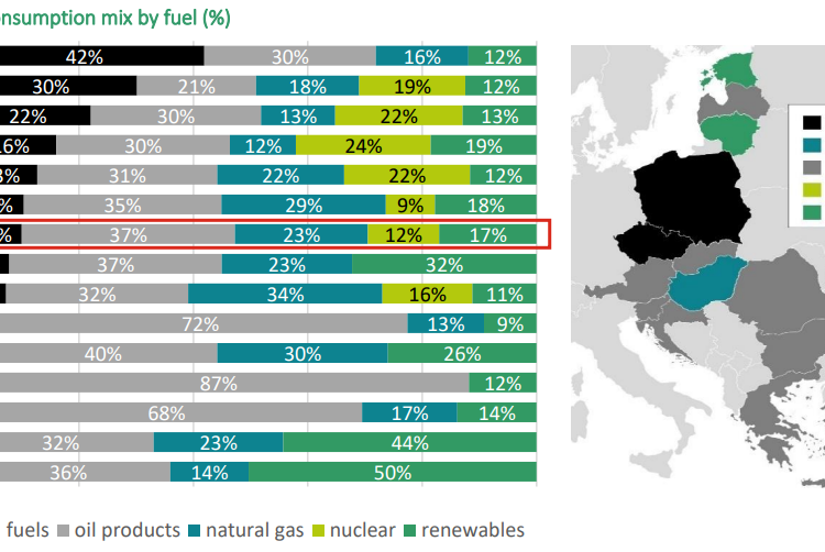 Decarbonisation in Central and South East Europe | European Gas Hub