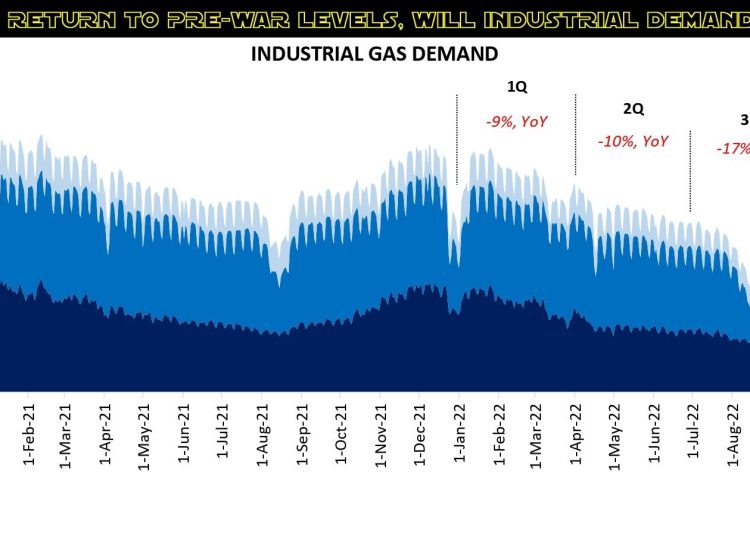 Prospects for European industrial gas demand | European Gas Hub