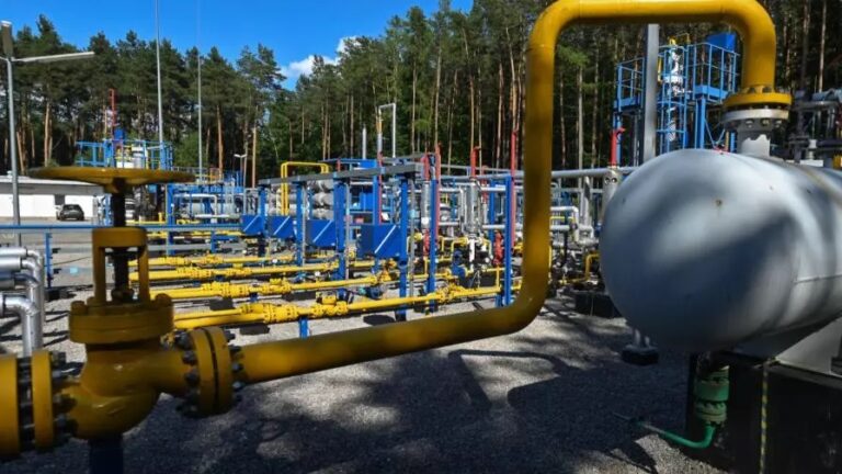 European natural gas information portal