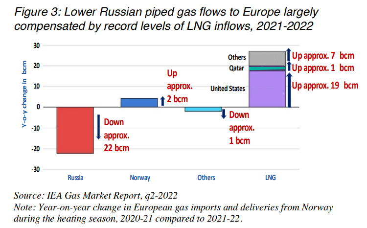 The role of natural gas in European energy security and decarbonization ...