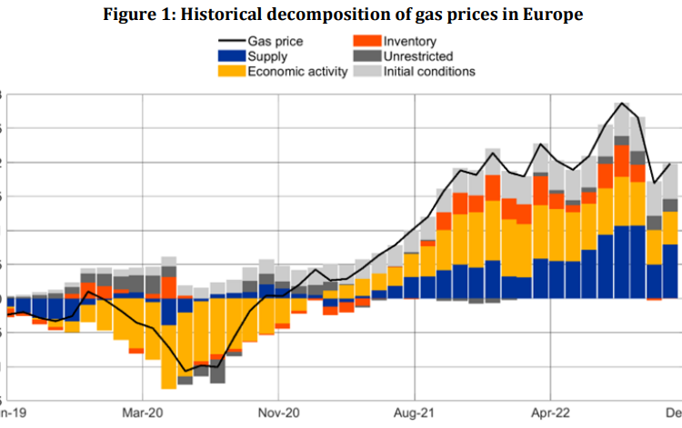 How gas prices affect inflation: lessons from the European energy ...