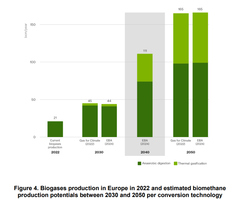 Biogas to reach 111bcm by 2040 | European Gas Hub